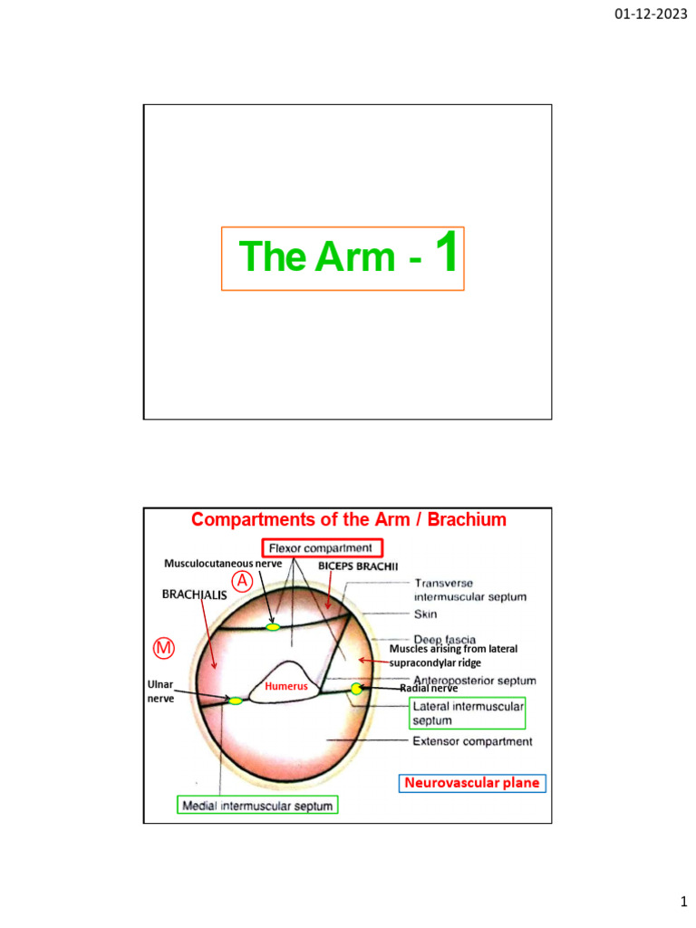 Arm-1 | PDF