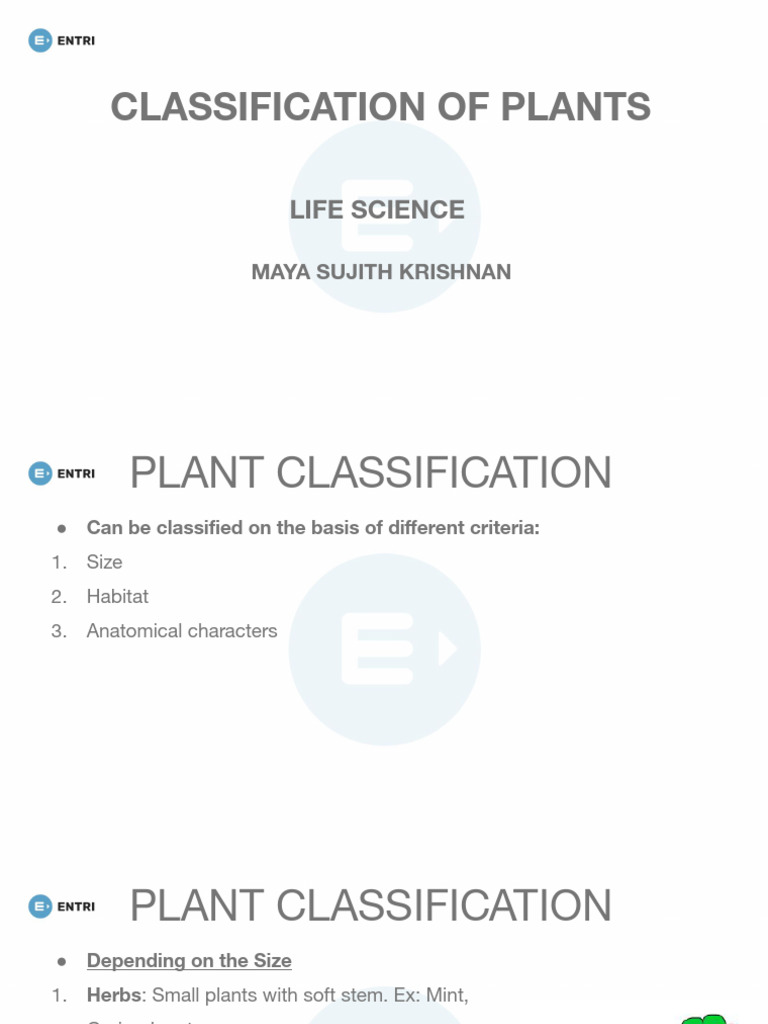 Classification Of Plants Pdf