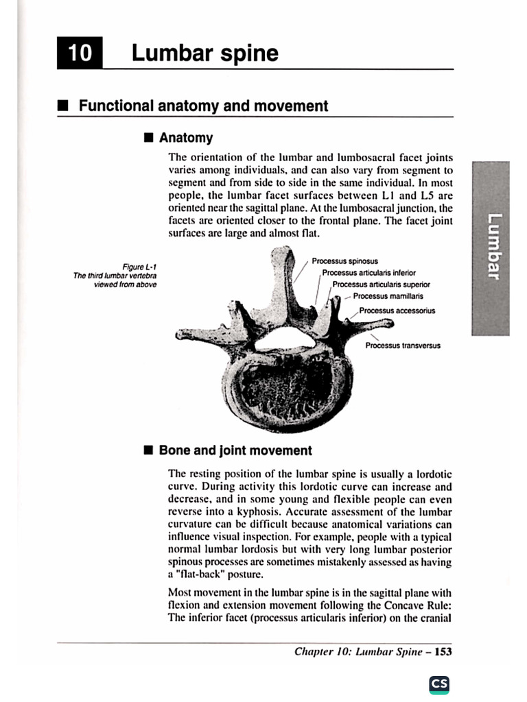 Lumbar | PDF