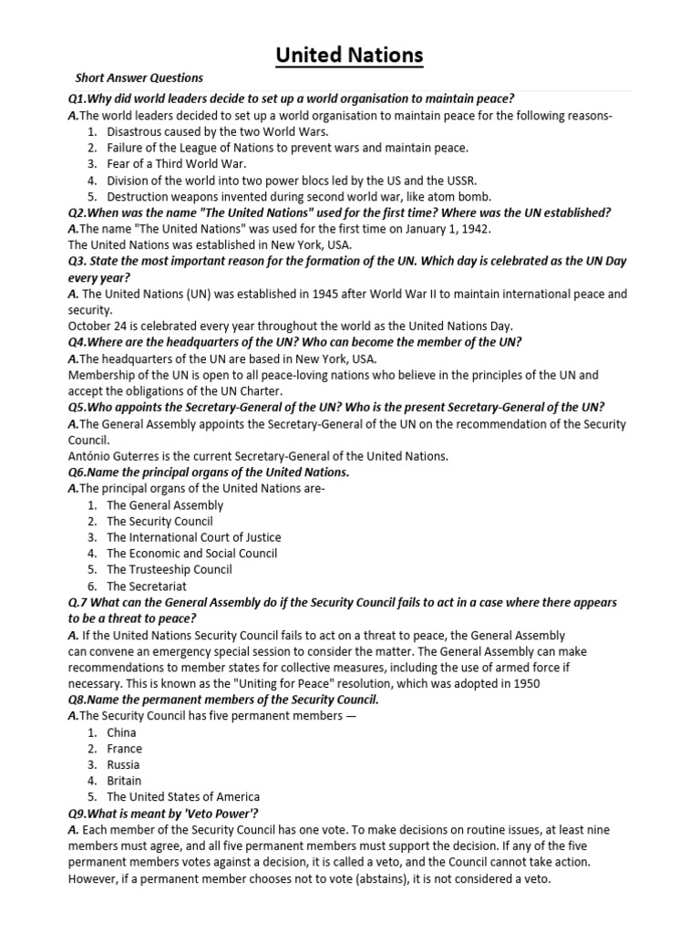 Grade 9 United Nations Printout | PDF