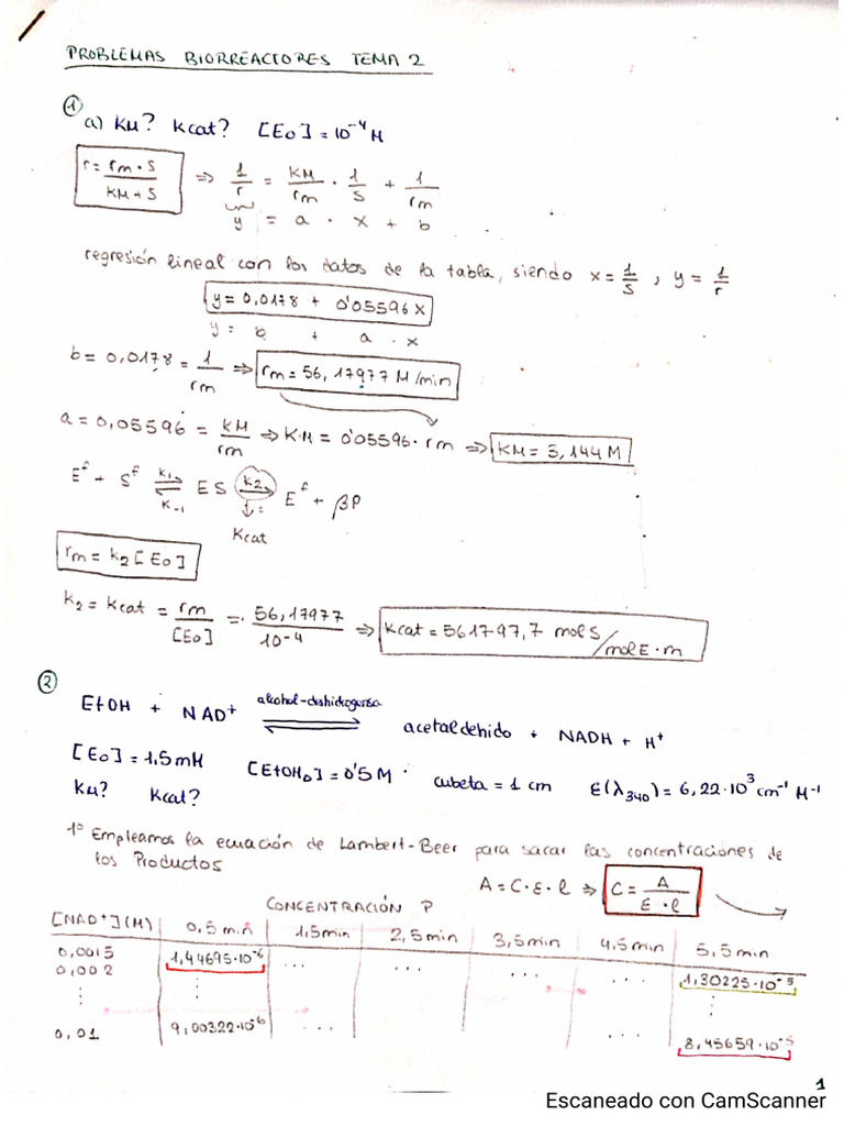 Ej2 Escaneados | PDF