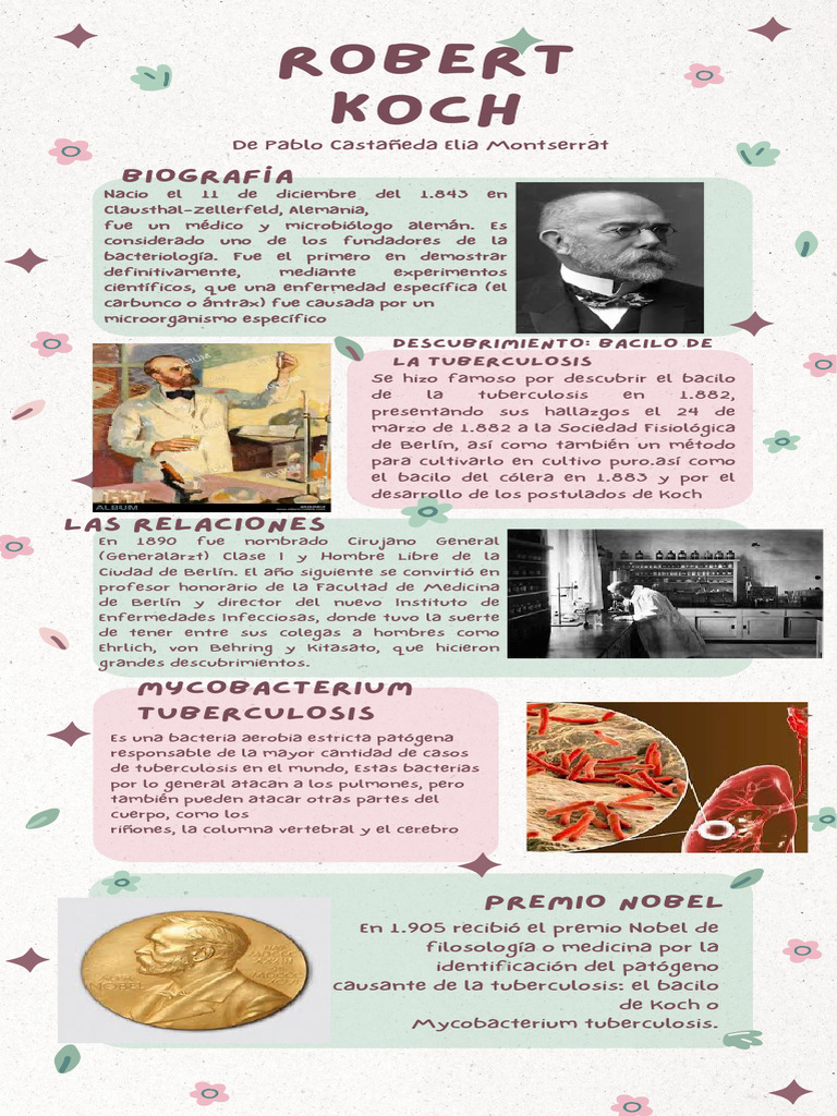 Infografia ROBERT KOCH | PDF