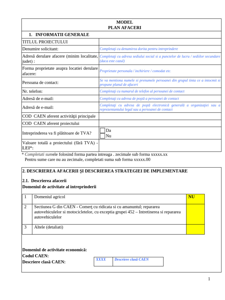 Model Plan Afaceri | PDF