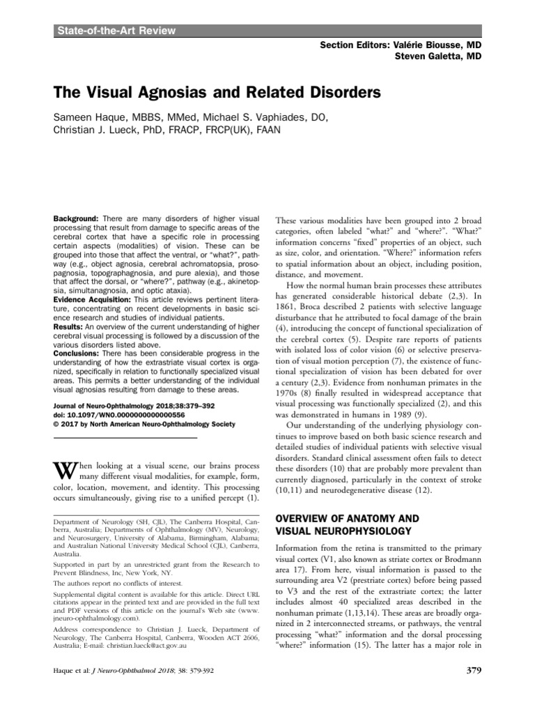 The Visual Agnosias and Related Disorders.22 | PDF