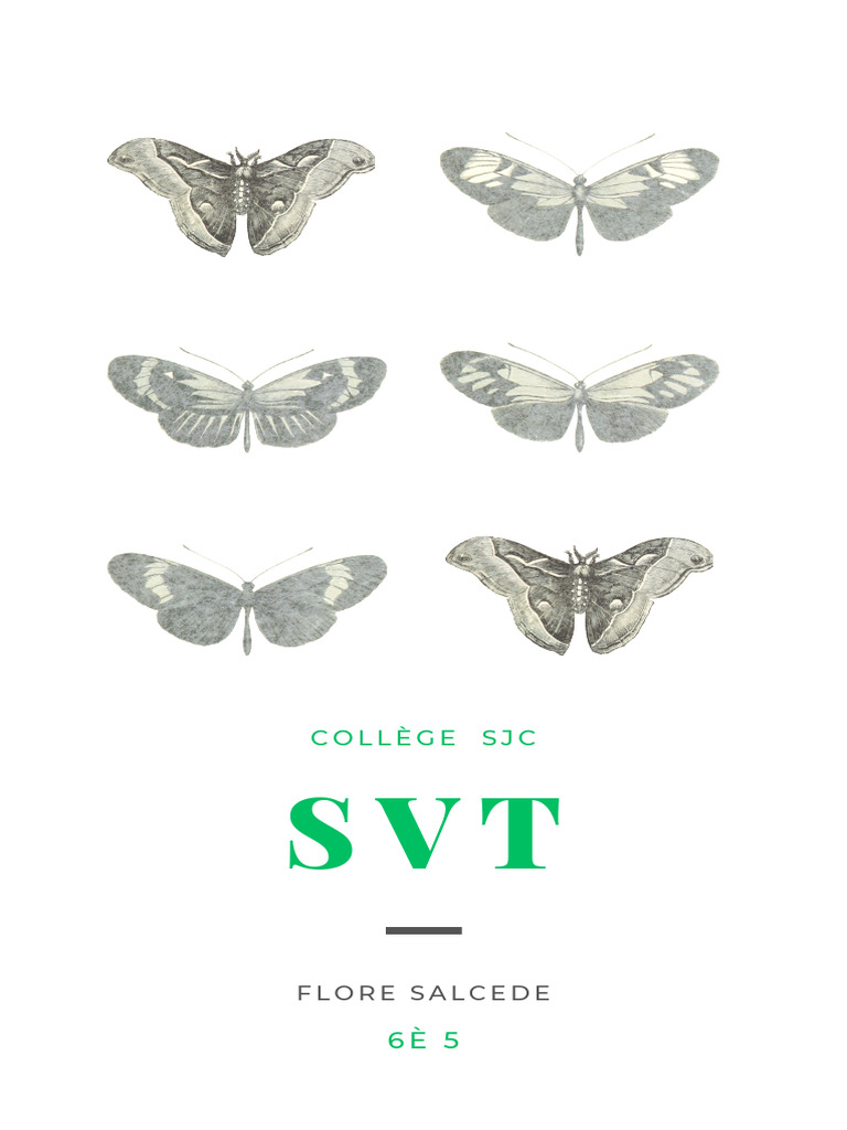Page de Garde SVT Motifs Papillon | PDF