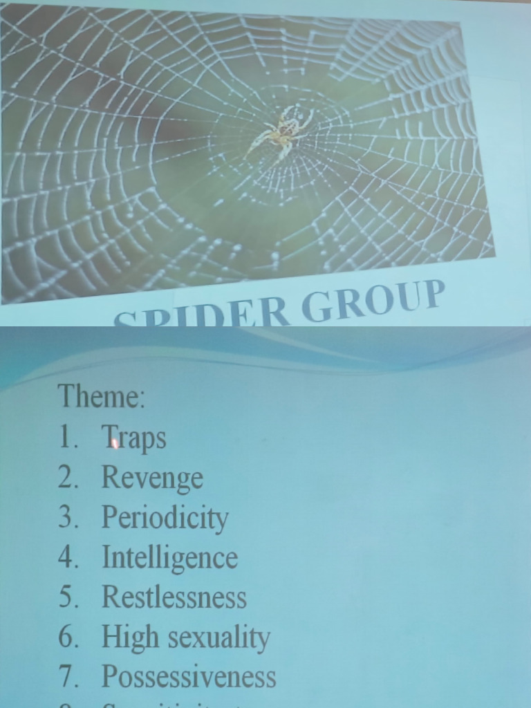 Spider Intro | PDF