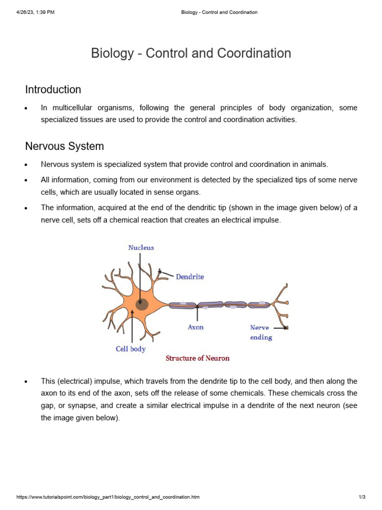 Biology of Control and Coordination | PDF | Nervous System | Science ...