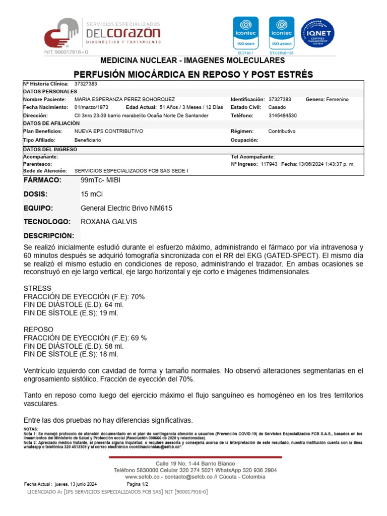 REPORTE (1) | PDF