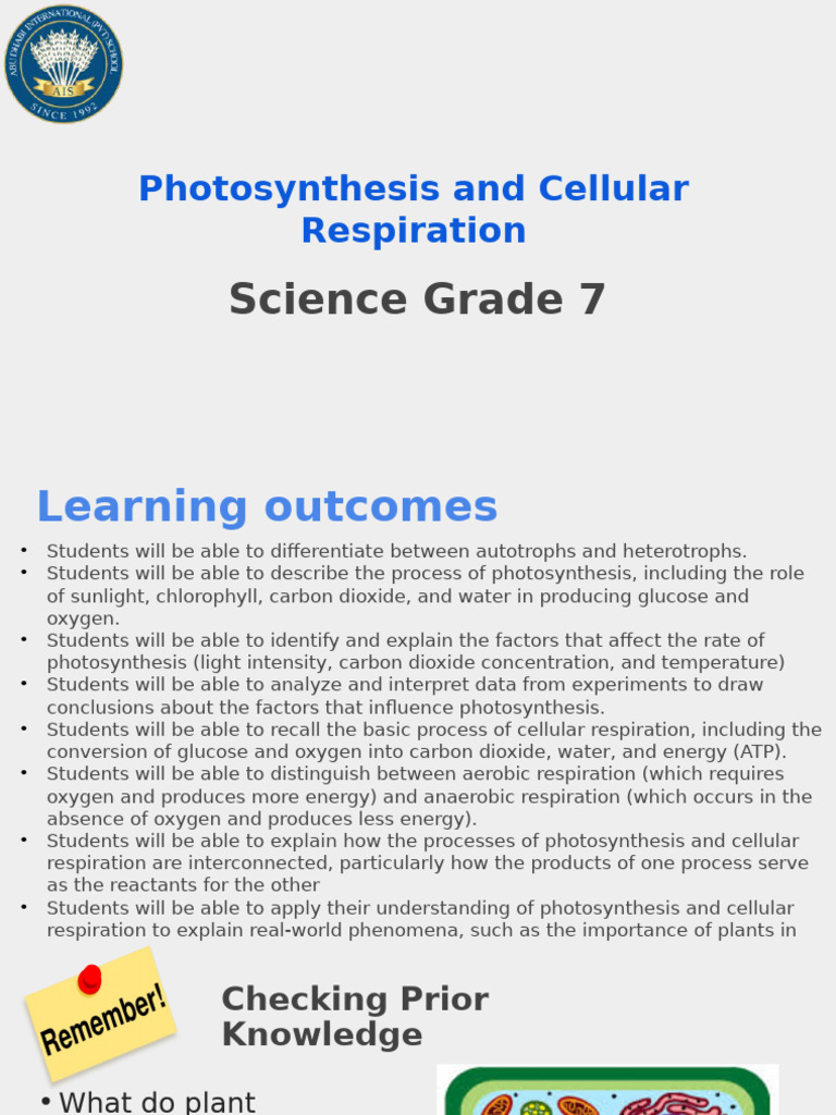 Photosynthesis and Cellular Respiration - Edited | PDF