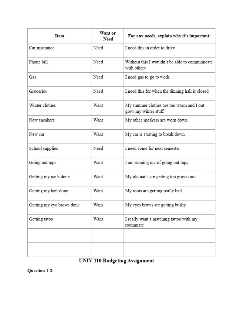 FA23 Budgeting Assignment | PDF