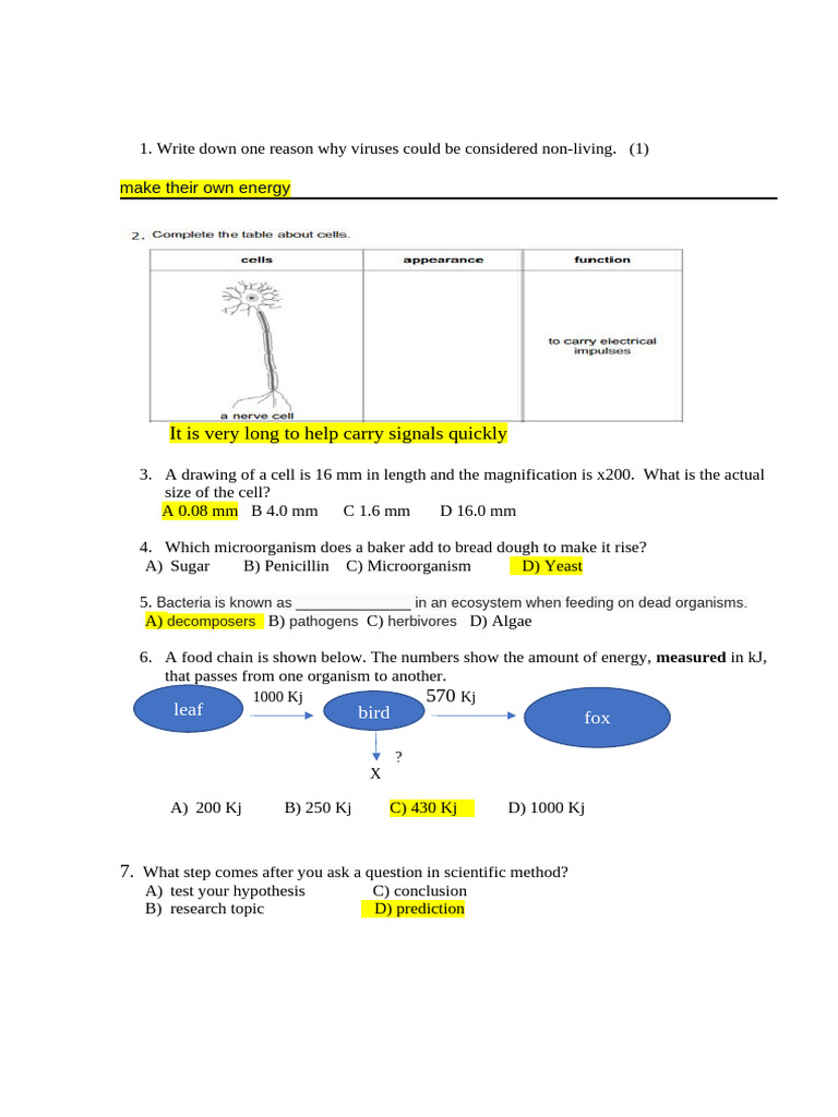 Progress Test Science Grade 7 | PDF