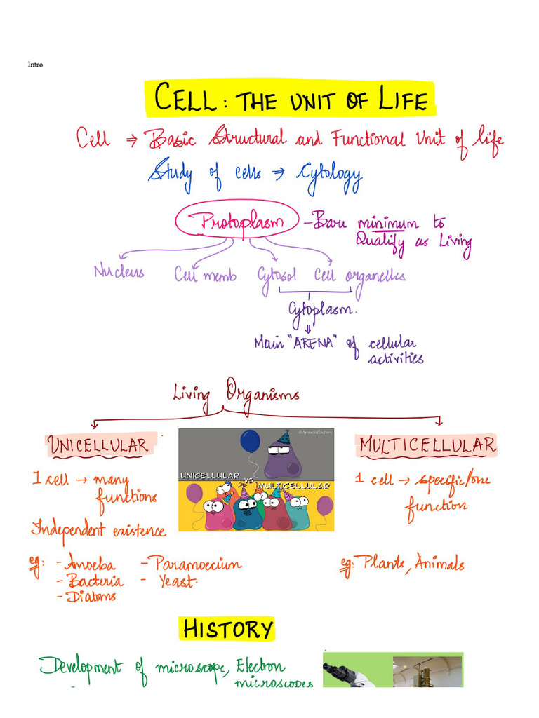 1.Cell-The Unit of Life | PDF