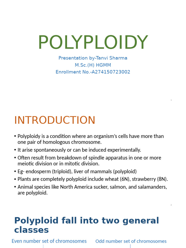 Presentation Polyploidy | PDF