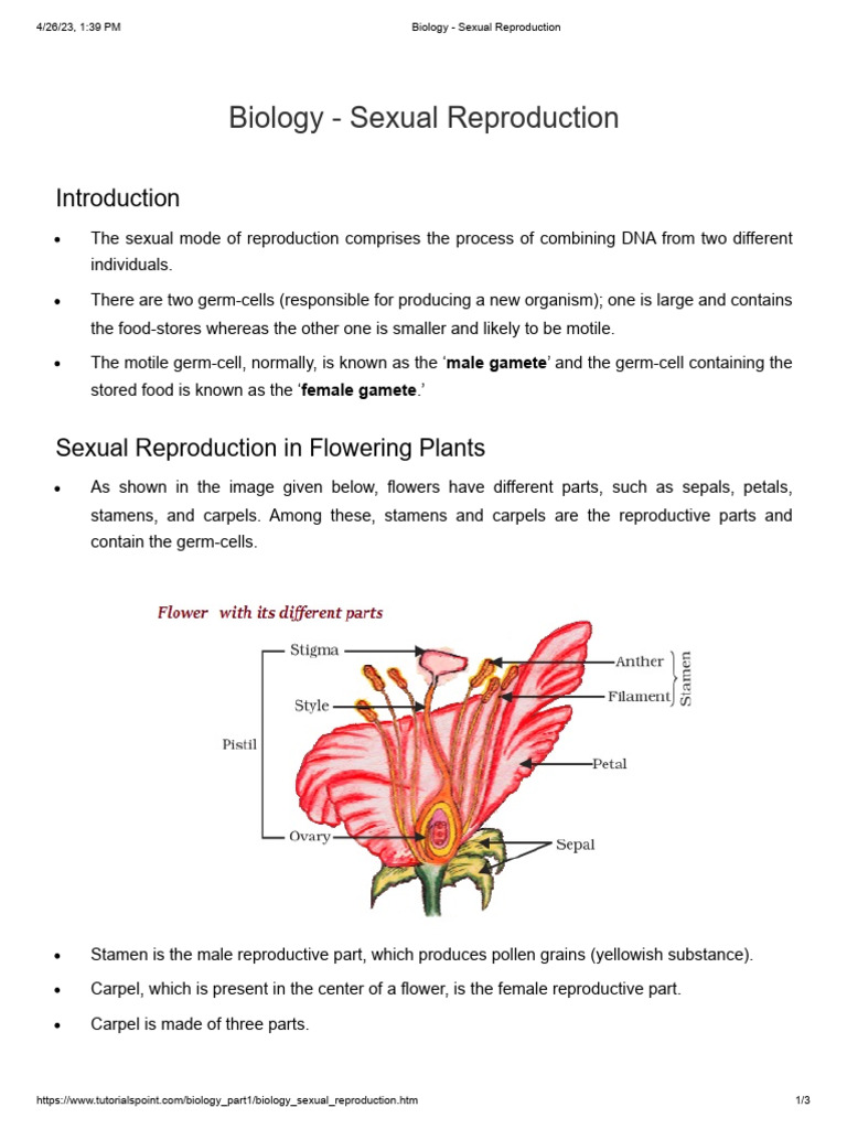 Biology - Sexual Reproduction | PDF