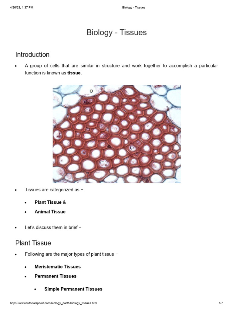 Biology - Tissues | PDF | Tissue (Biology) | Wellness
