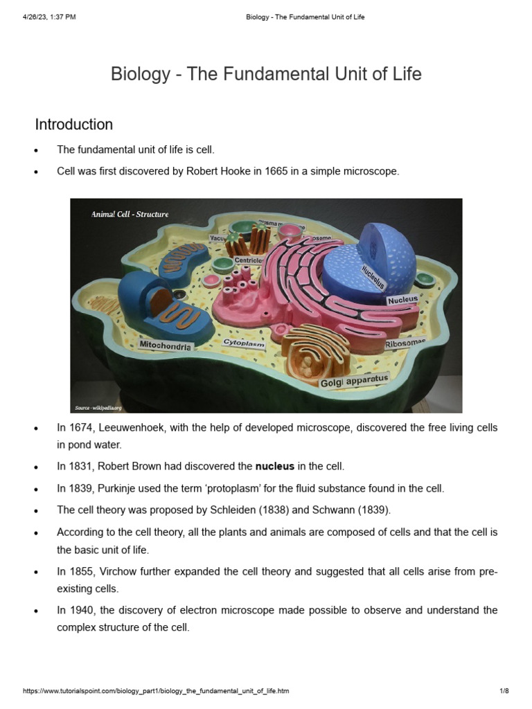 Understanding Cell Structure and Function | PDF | Endoplasmic Reticulum ...
