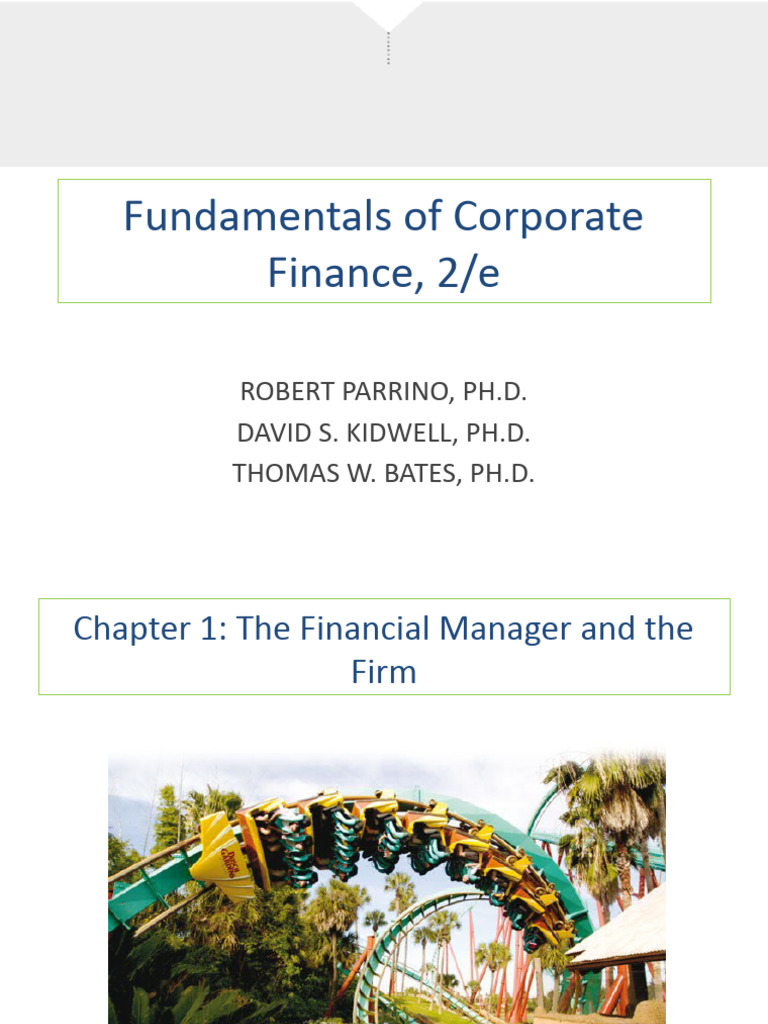 Parrino 2e PowerPoint Review Ch01 | PDF