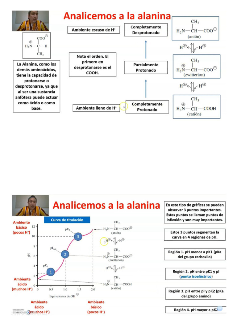 Apuntes Sobre Punto Isoeléctrico | PDF