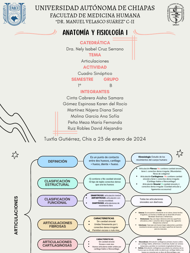 Cuadro Sinóptico Articulaciones | PDF | Articulación | Sistema musculoesquelético
