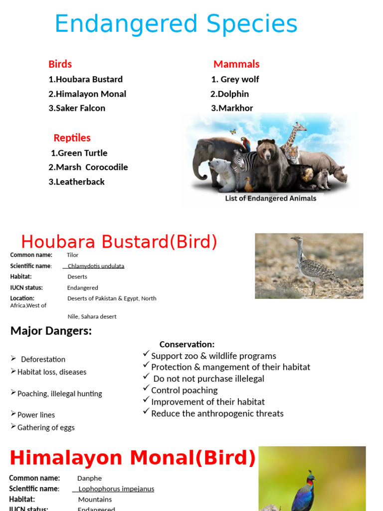 Endangered Species | PDF