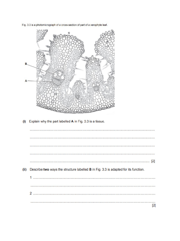 Ig3 ASSIGNMENT | PDF