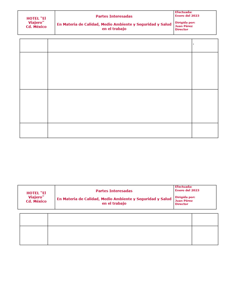 Partes Interesadas | PDF