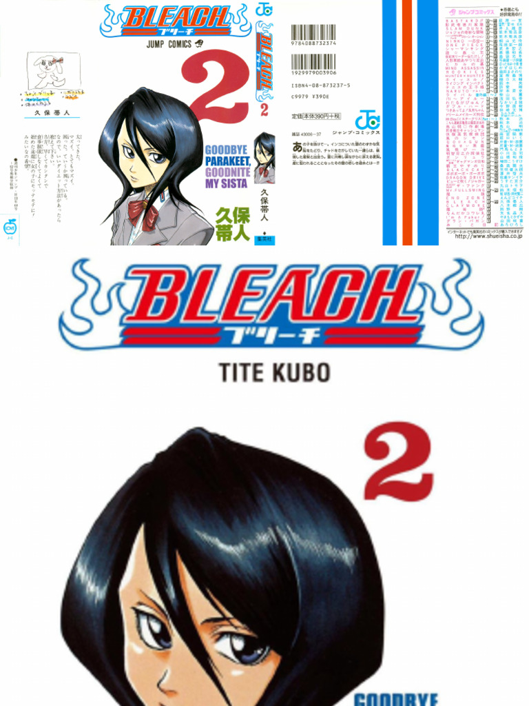 MANGA Bleach - Tome 02 | PDF