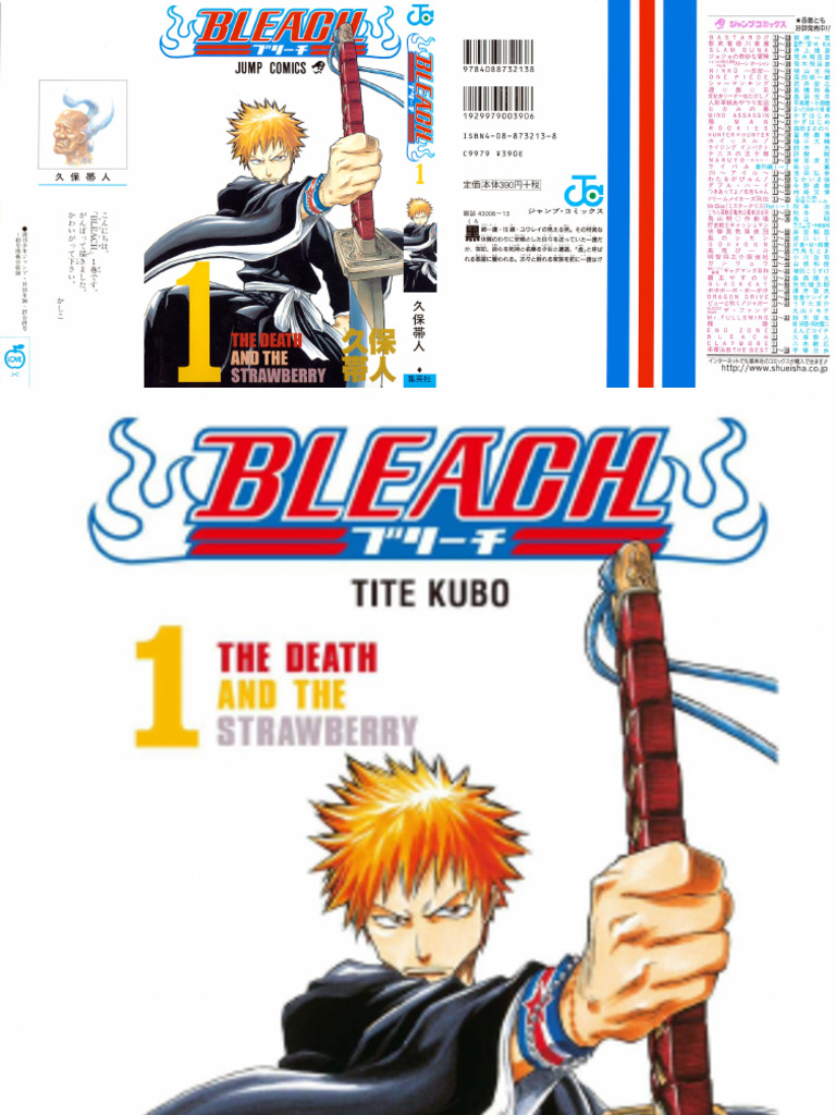 MANGA Bleach - Tome 01 | PDF