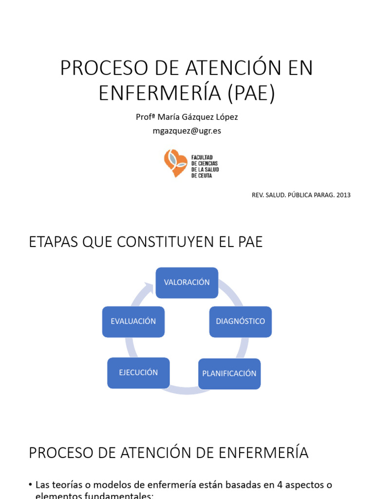 Proceso De Atención En Enfermería Pae Prof María Gázquez López