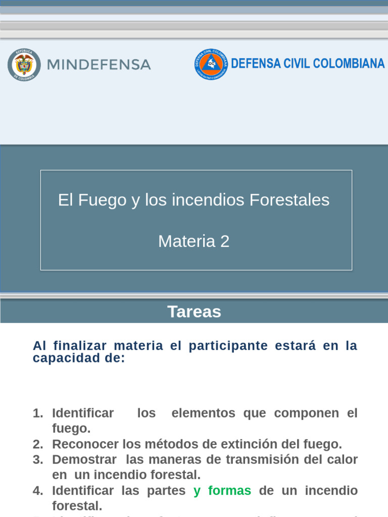 Av - 2 El Fuego y Los Incendios | PDF