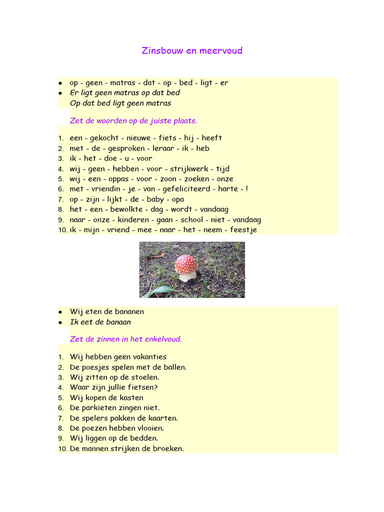 1-Zinsbouw en Meervoud | PDF