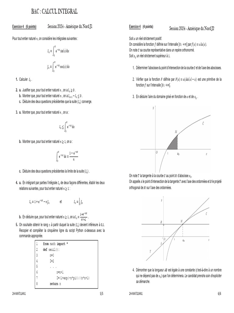 Calcul Integral AduN 2024 VE | PDF