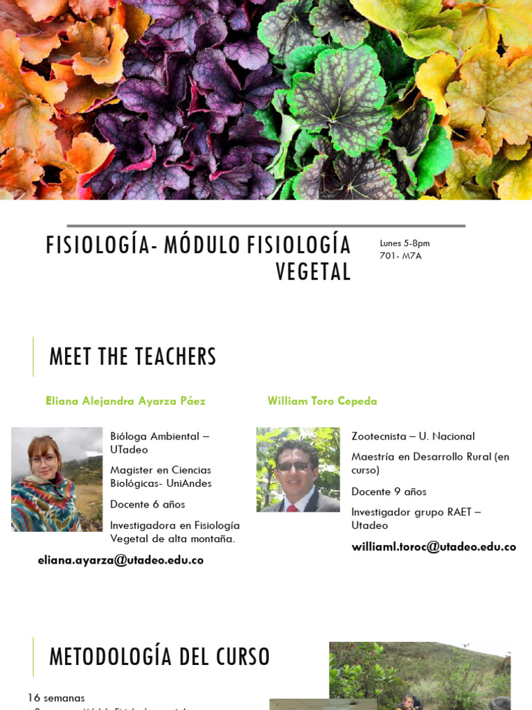 SClase I. Intro y Anatomía Vegetal | PDF