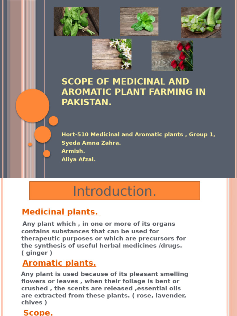 Scope of MAP Farming in Pakistan | PDF