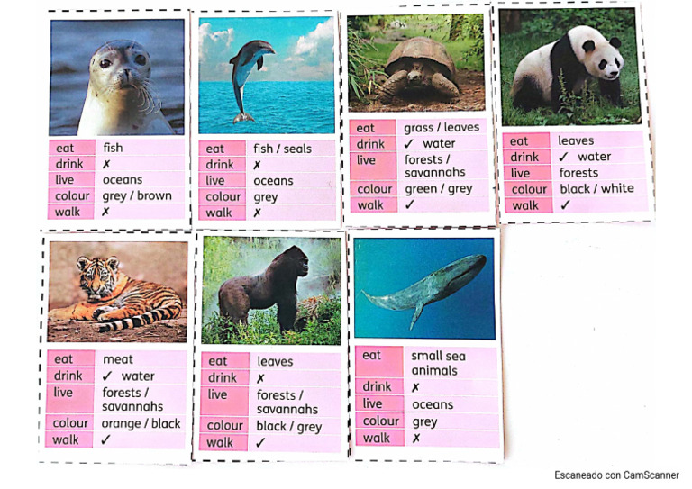 Animal Characteristcs | PDF