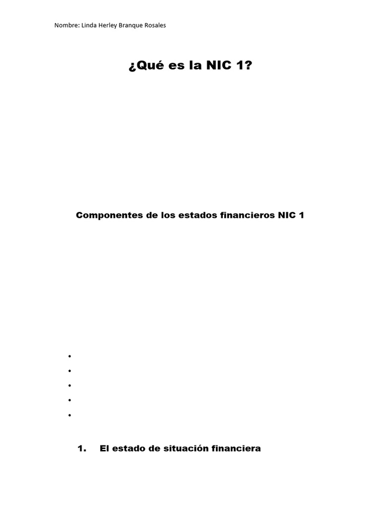 Qué Es La NIC 2 | PDF