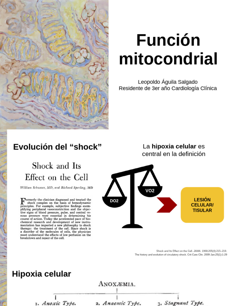 Función Mitocondrial | PDF