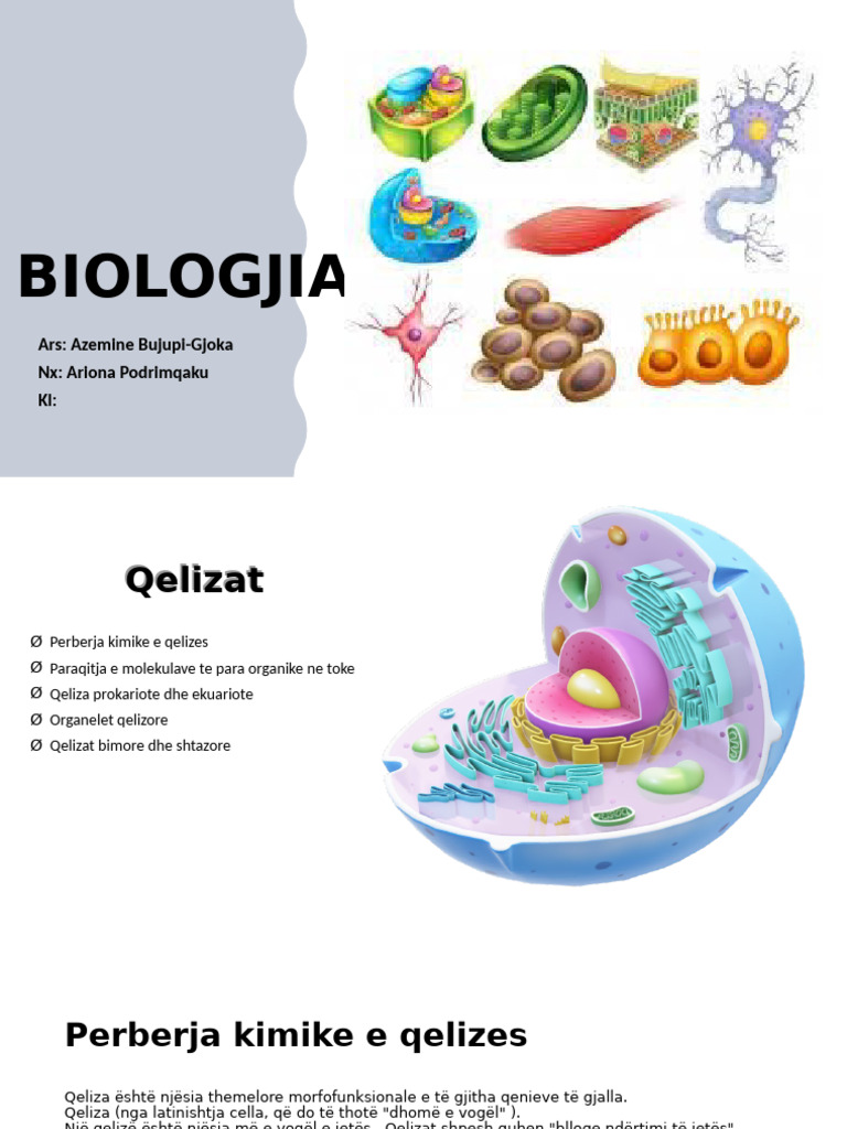 BIOLOGJI 10 | PDF
