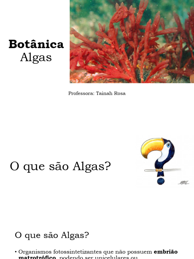2 Algas Pdf