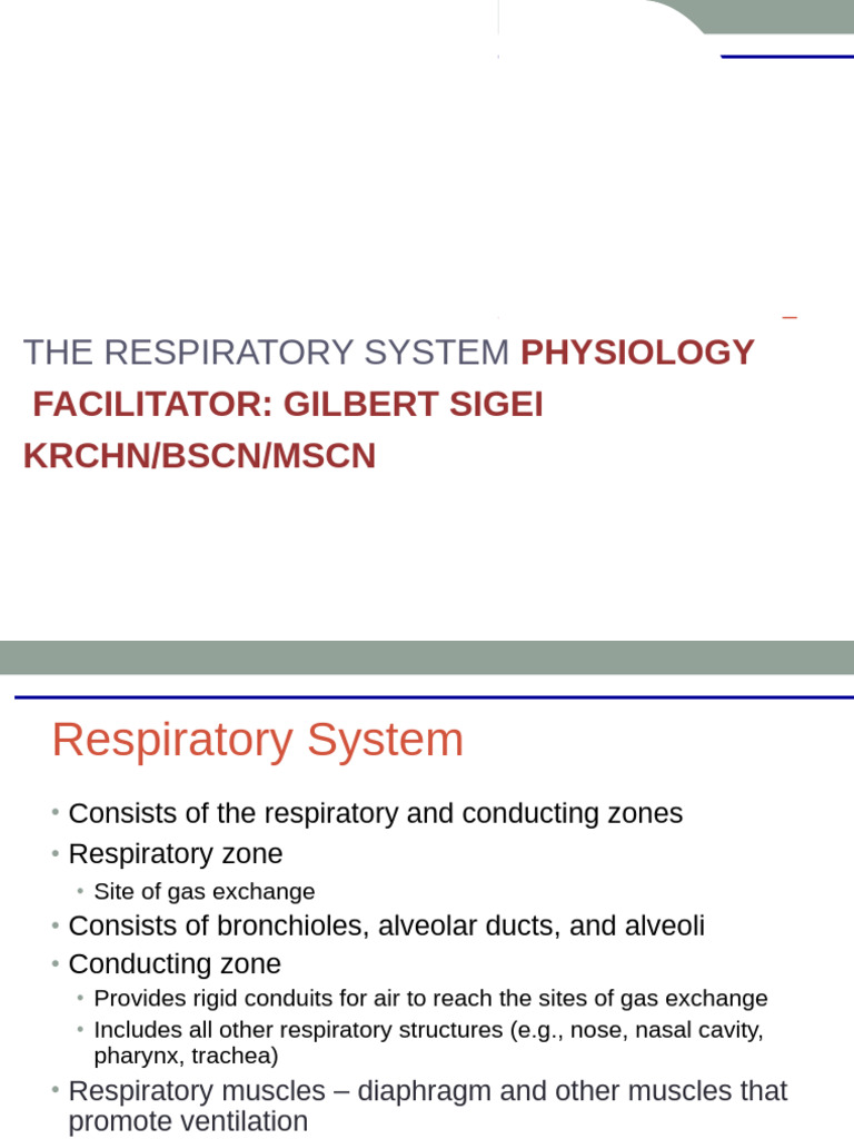 Resp system presentation (2) | PDF