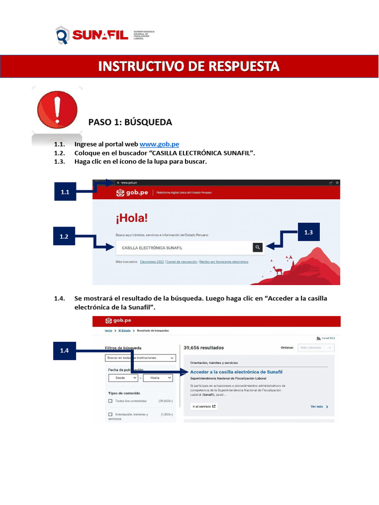 Instructivo Sunafil | PDF