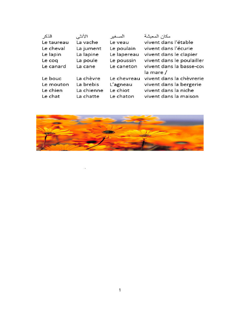 1111111111111111 | PDF