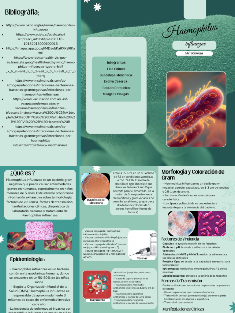 Folleto Tríptico Ofertas Alojamiento Rural Orgánico Verde - 20241002 - 101410 - 0000 | PDF