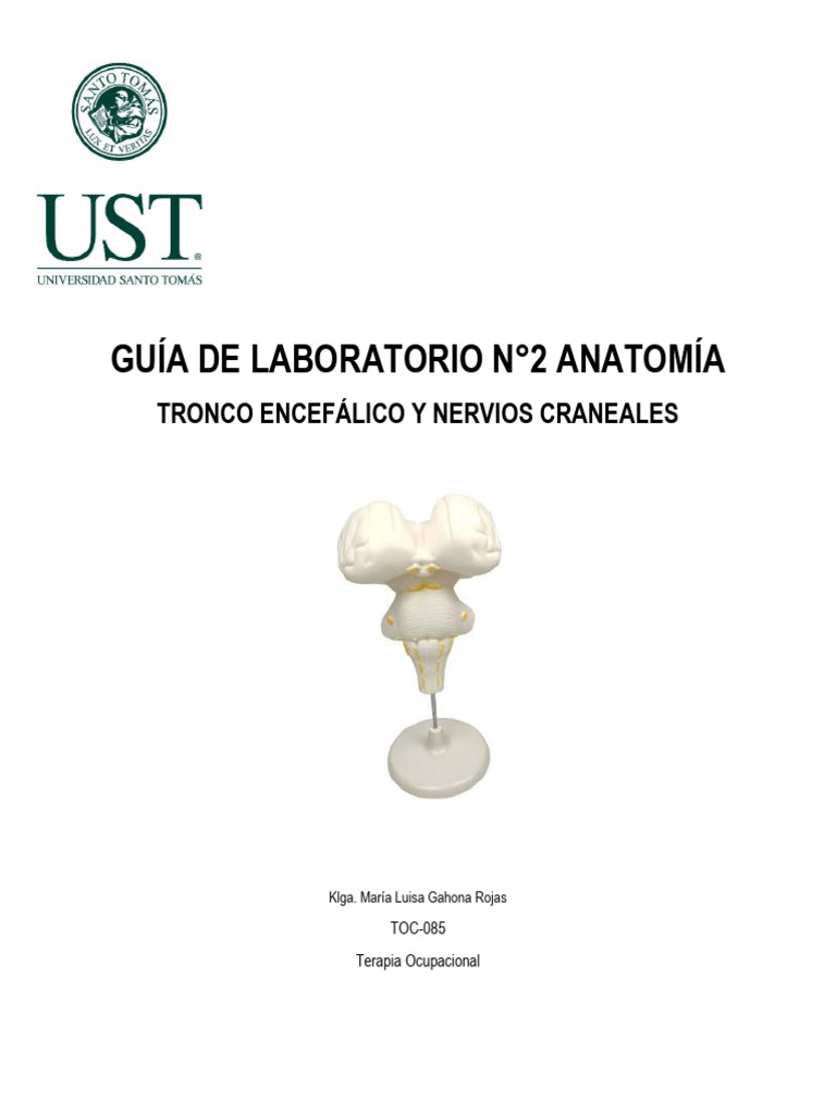 Guia n2 Laboratorio | PDF