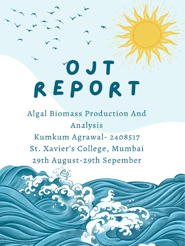 Final OJT Report | PDF