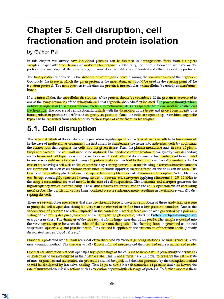 Cell Fraction Andd Homogenization | PDF