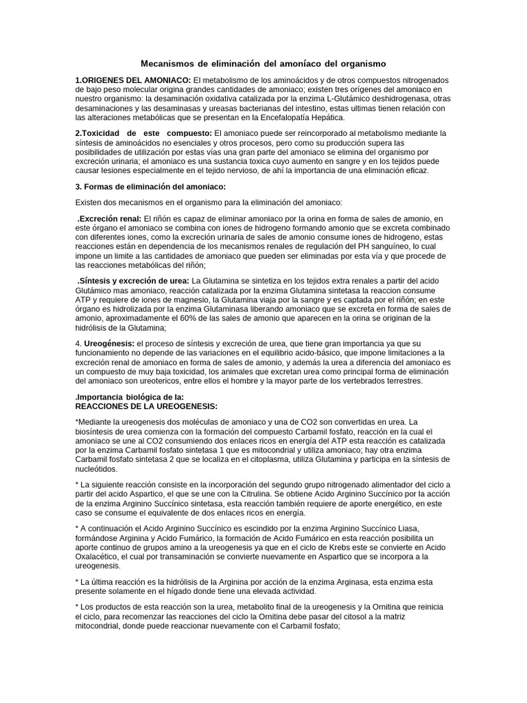 Morfo 3 tema 5 | PDF