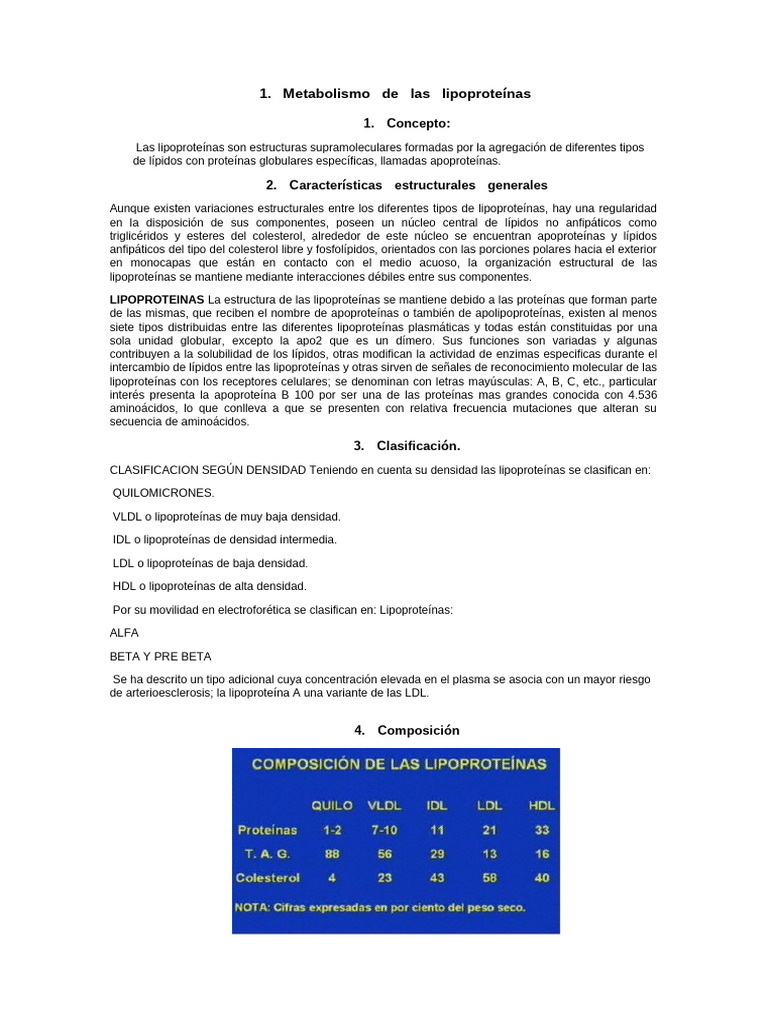 Morfo 3 Tema 3 | PDF