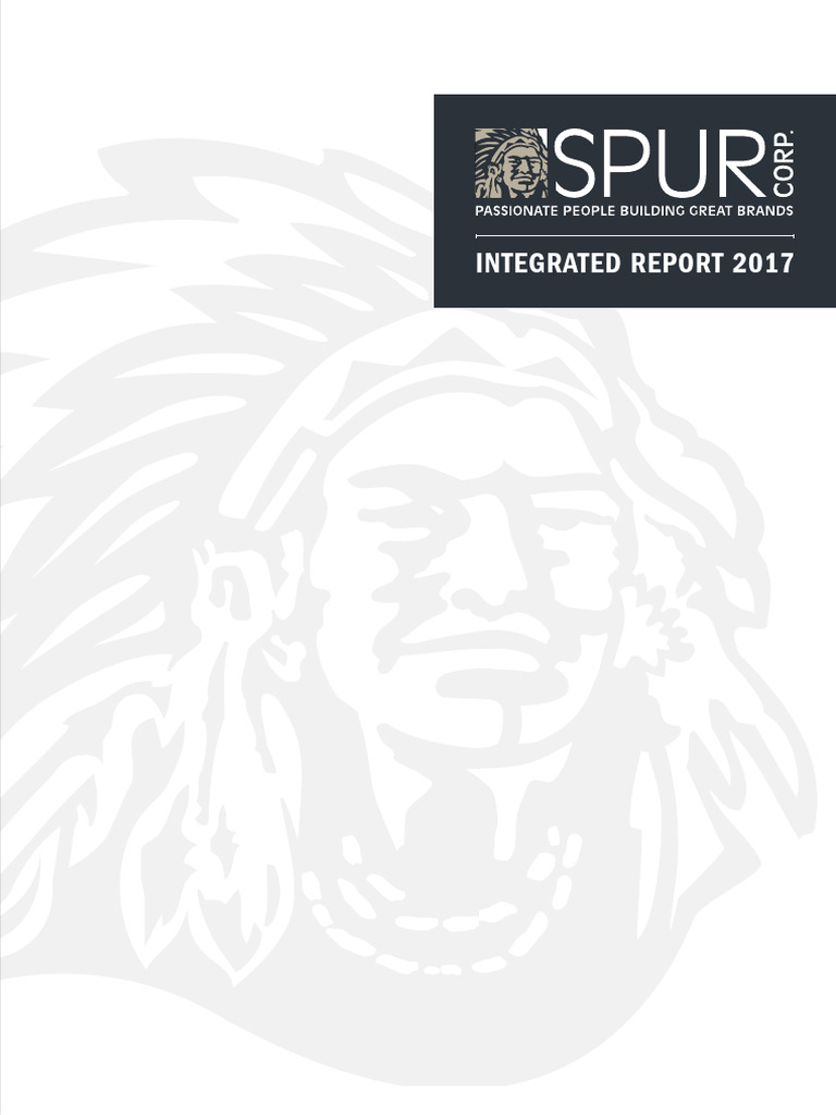Integrated Report 2017 | PDF