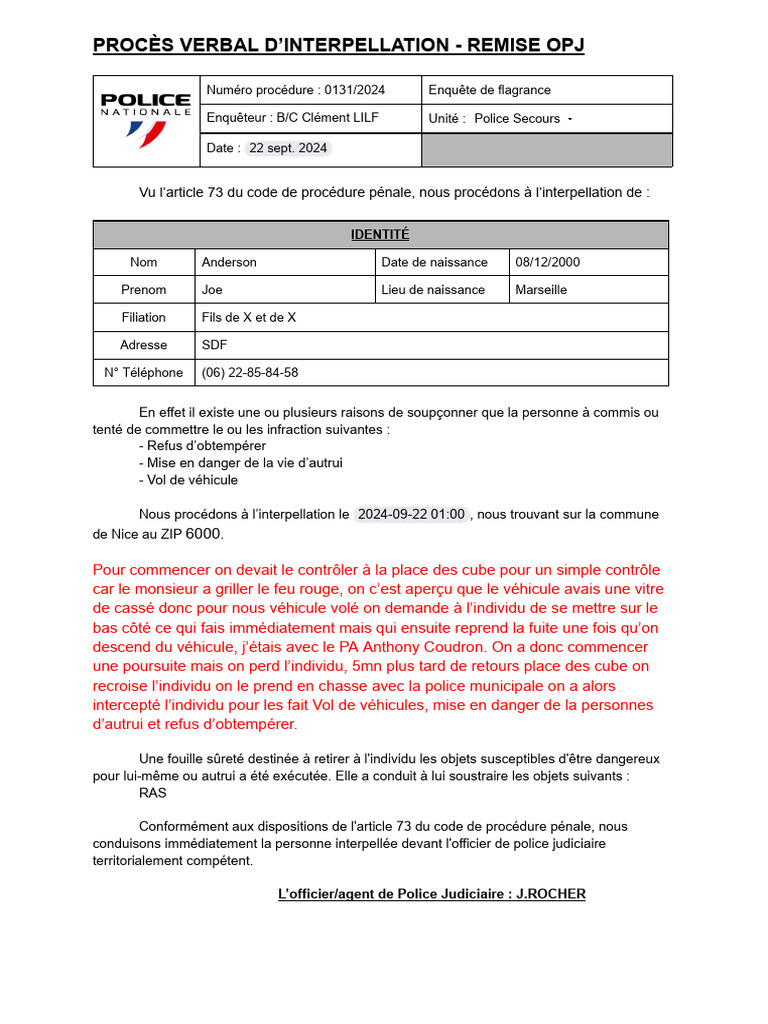 Copie de PROCÈS VERBAL D'INTERPELLATION - REMISE OPJ - PN-9 | PDF